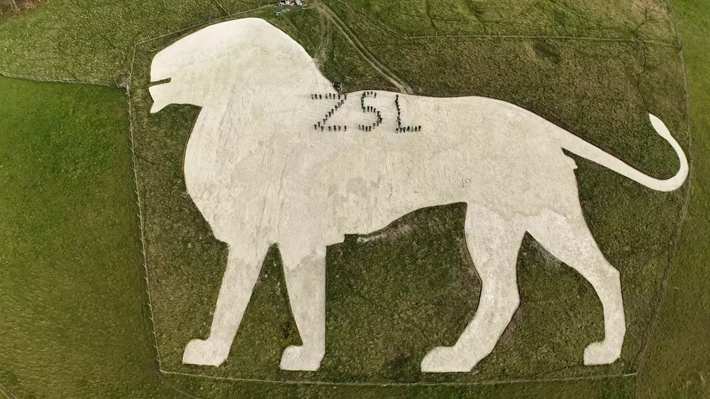 Volunteers rally to complete revamp of our iconic chalk white lion ...