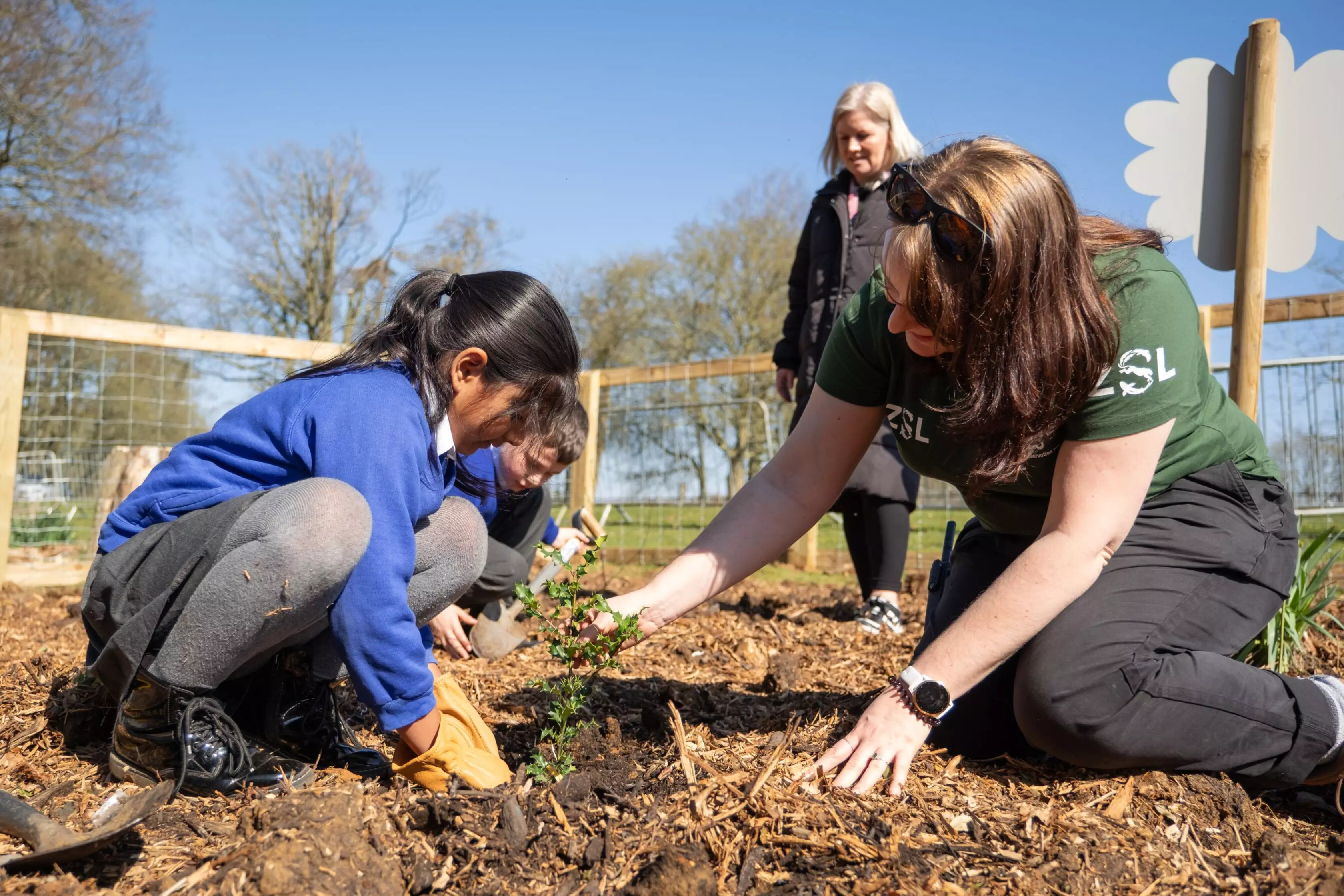 UK’s largest zoo plants Tiny Forest | Whipsnade Zoo
